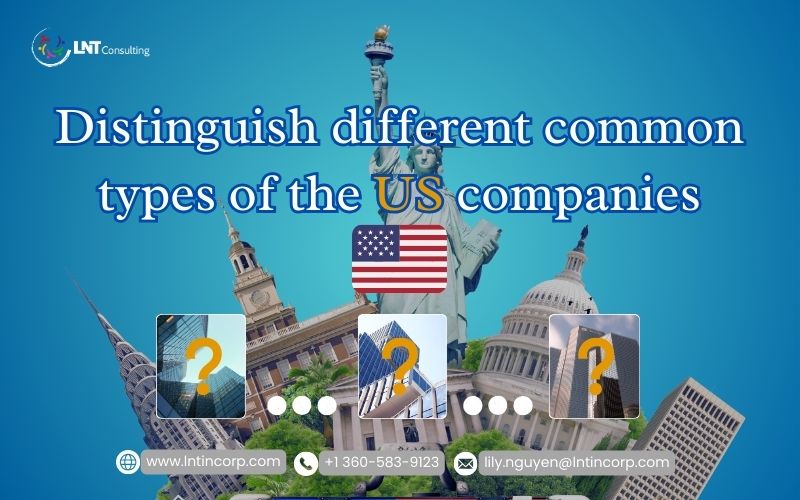 Different types of the US Company - What should you know?